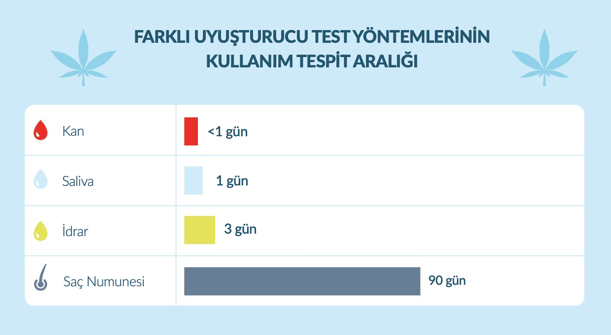 Saç Telinden Uyuşturucu Testi – AsistBio